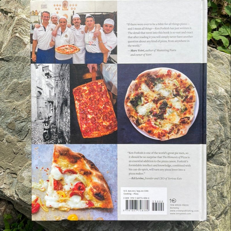 The Elements of Pizza by Ken Forkish