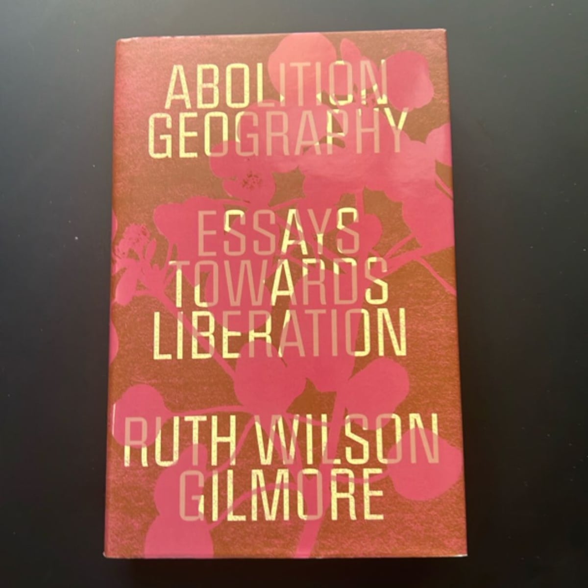 Abolition Geography by Ruth Wilson Gilmore