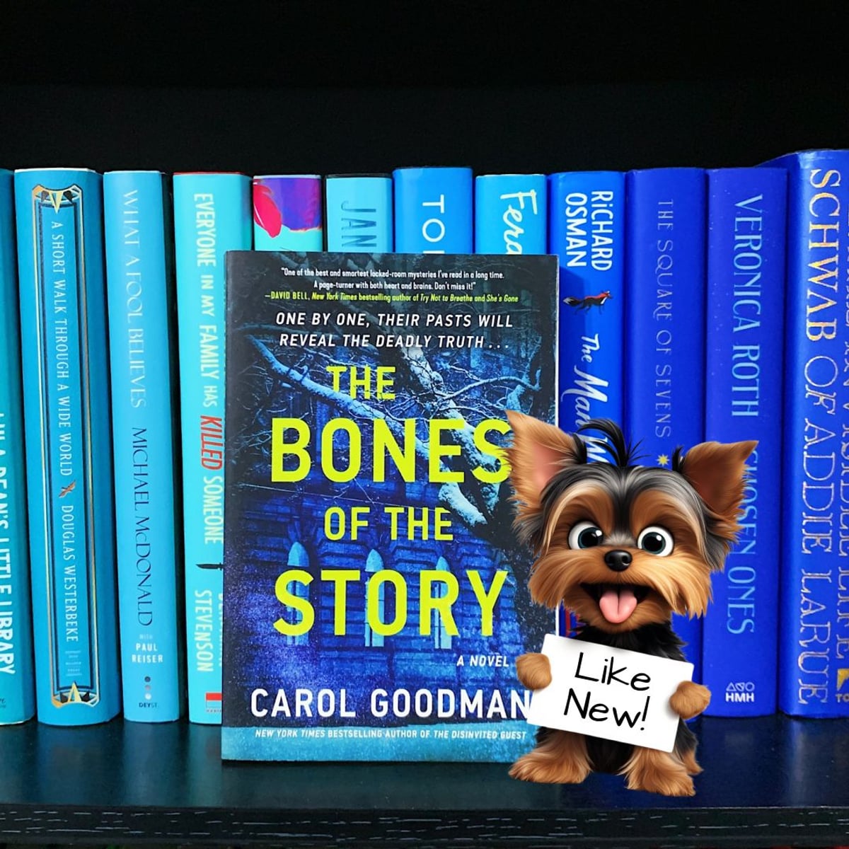 The Bones of the Story by Carol Goodman