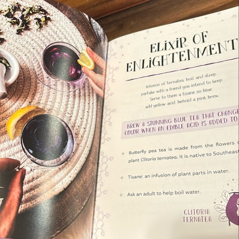 The Science Spell Book by Cara Florance