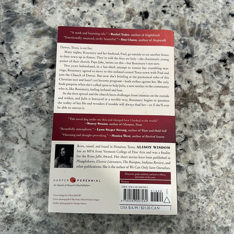 The Burning Season by Alison Wisdom