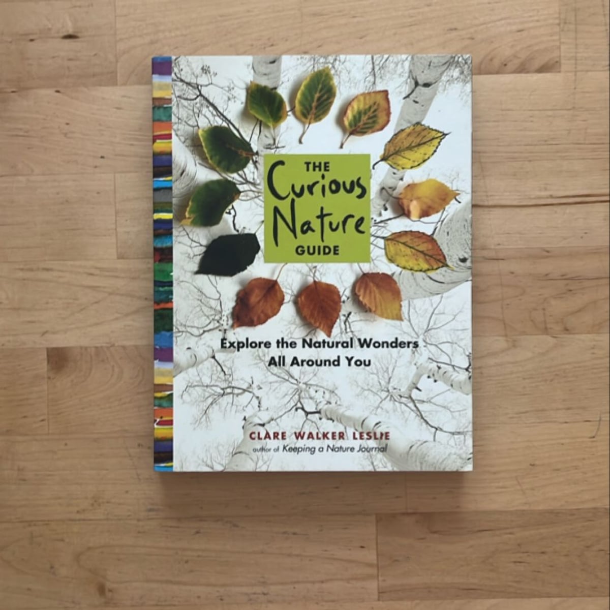 The Curious Nature Guide by Clare Walker Leslie