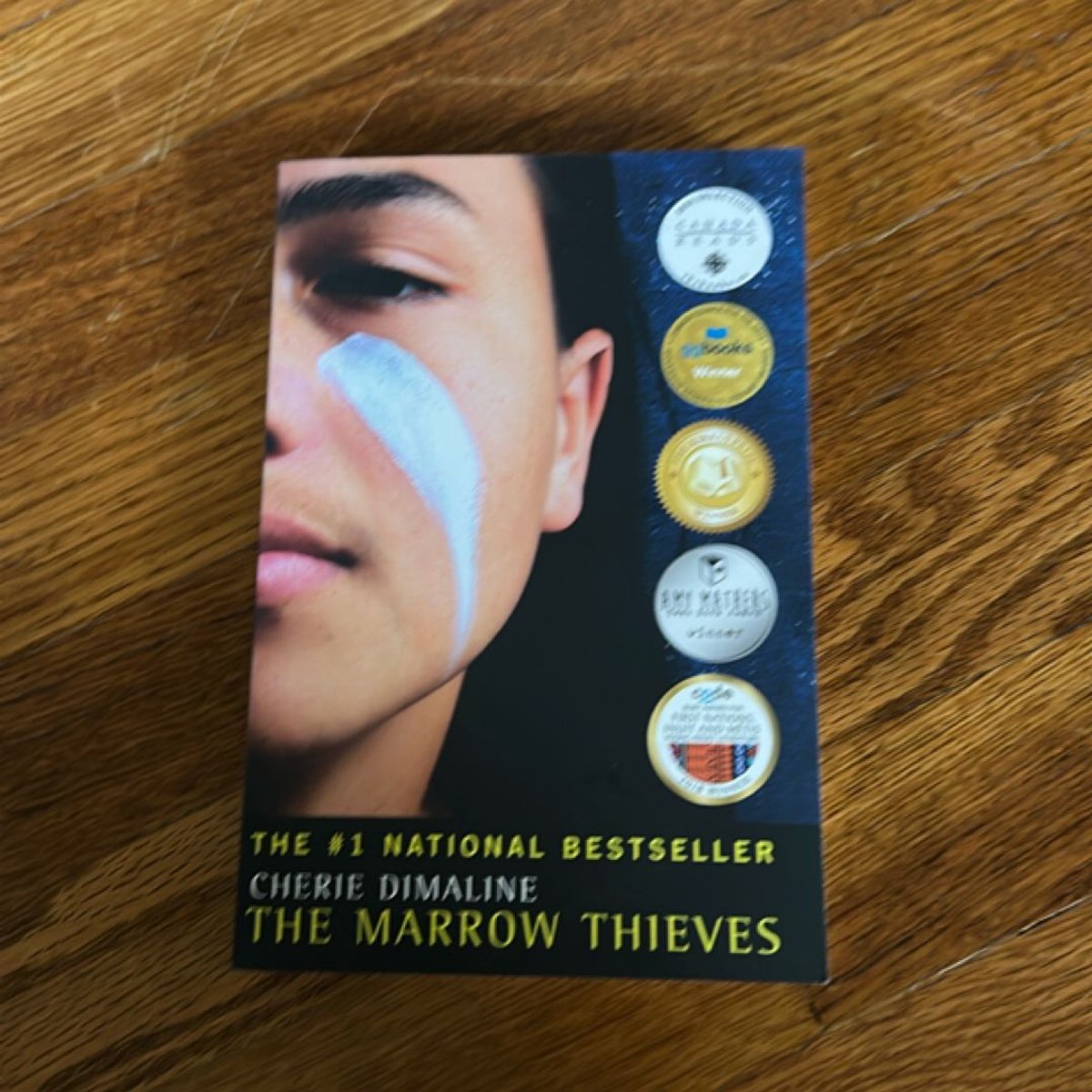 The Marrow Thieves by Cherie Dimaline