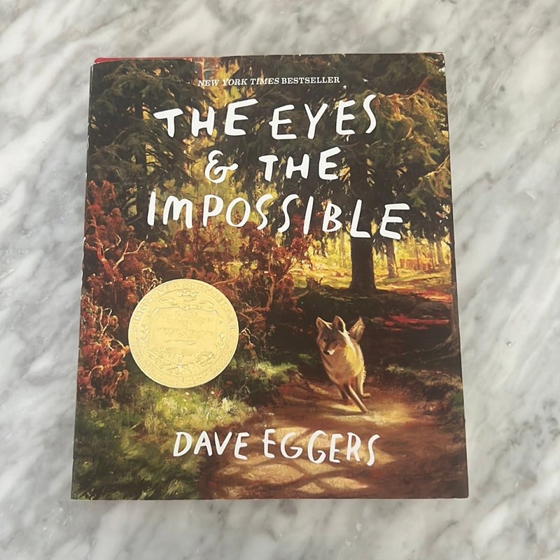 The Eyes and the Impossible by Dave Eggers, Hardcover | Pangobooks