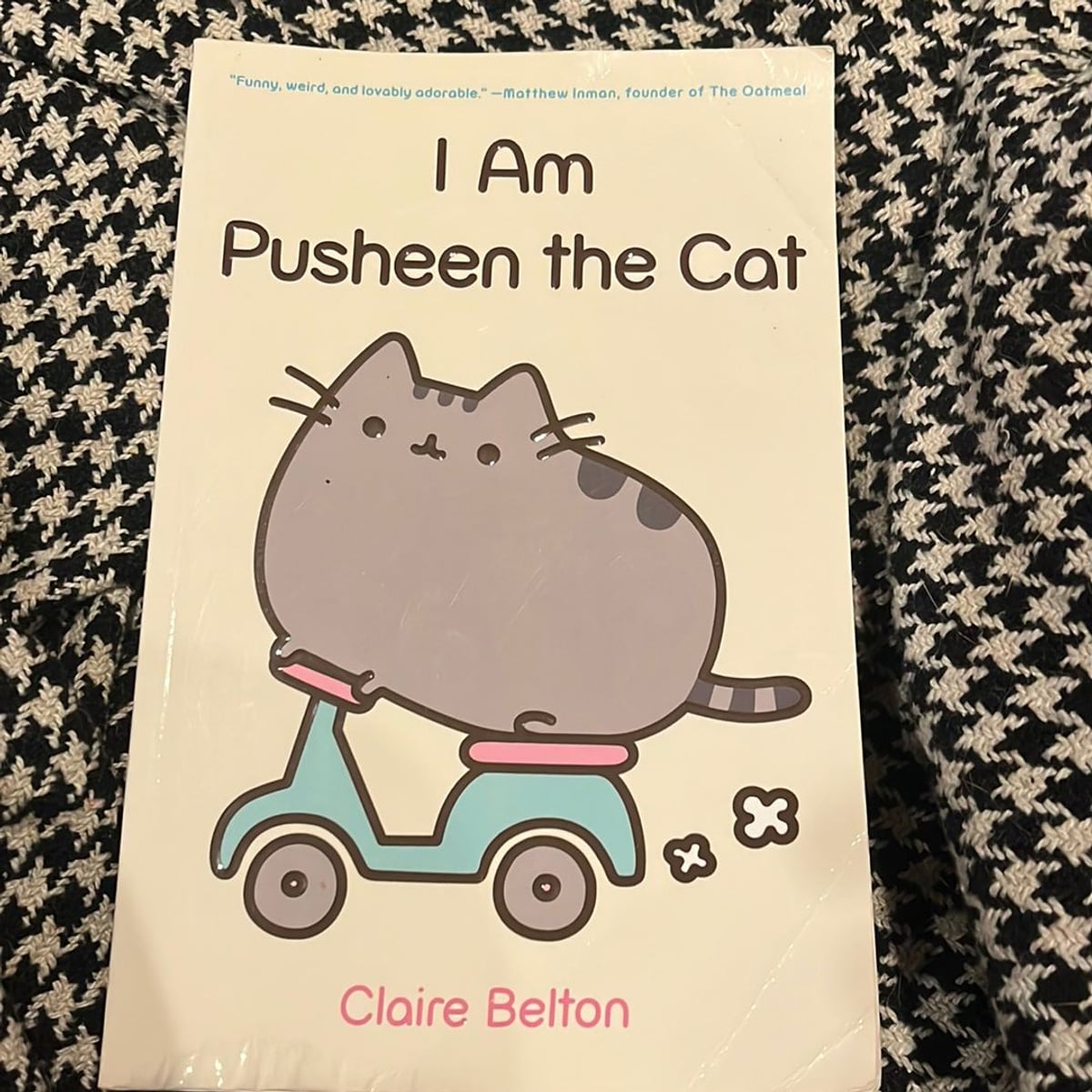 I Am Pusheen the Cat by Claire Belton