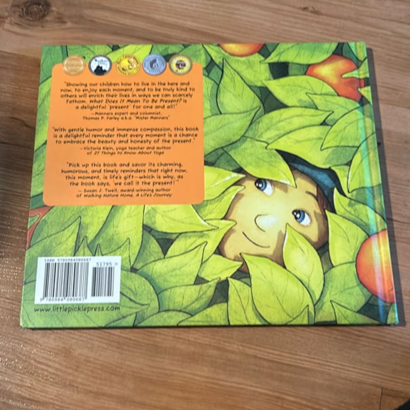 What Does It Mean to Be Present? by Rana DiOrio