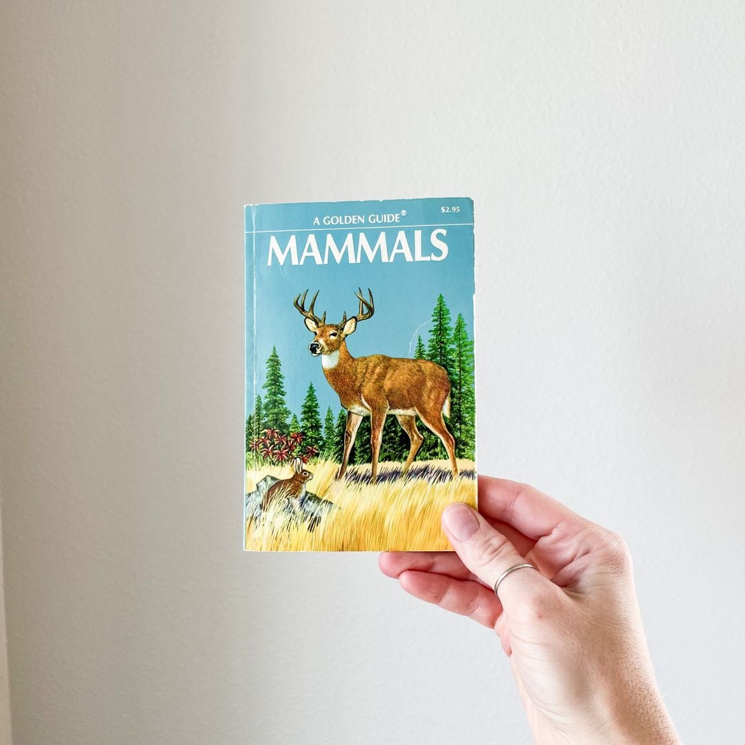 A Golden Guide Mammals by A Golden Guide, Paperback | Pangobooks