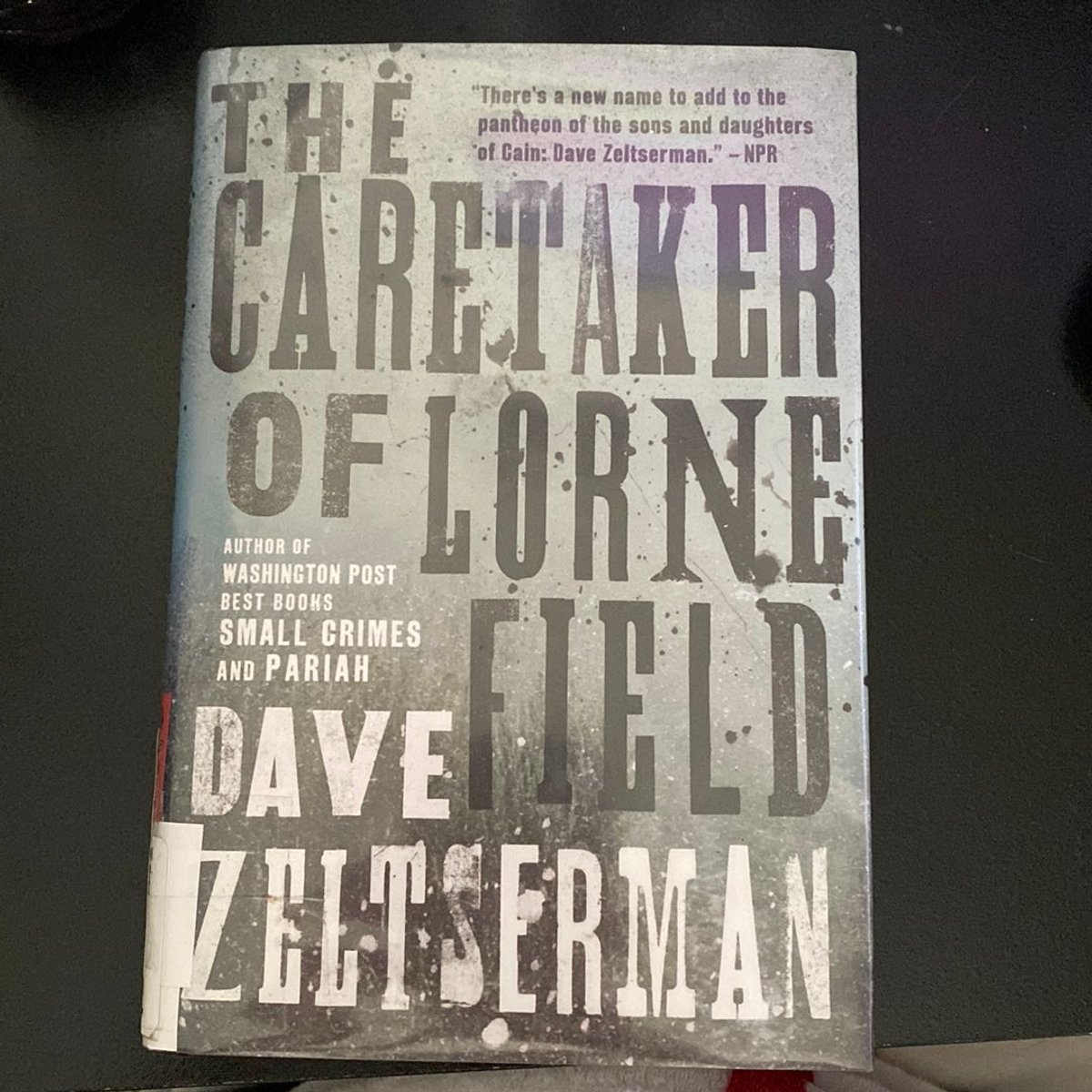 The Caretaker of Lorne Field by Dave Zeltserman