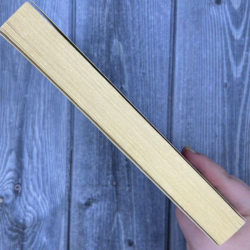 Surrender Bay by Denise Hunter, Paperback | Pangobooks