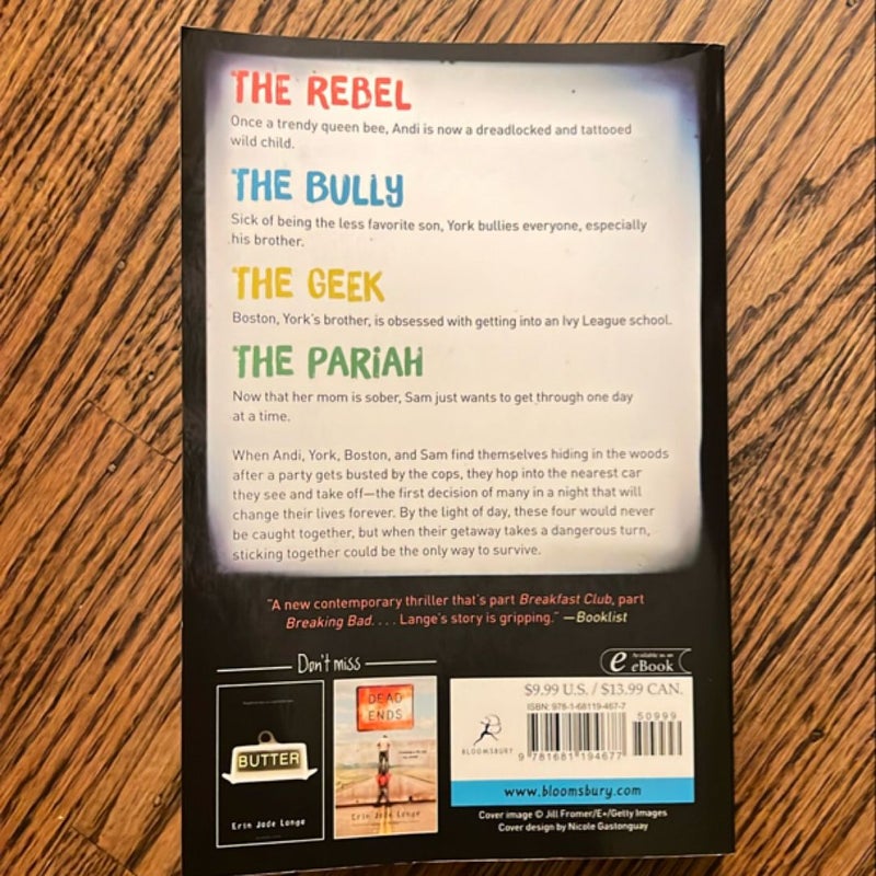Rebel, Bully, Geek, Pariah by Erin Jade Lange