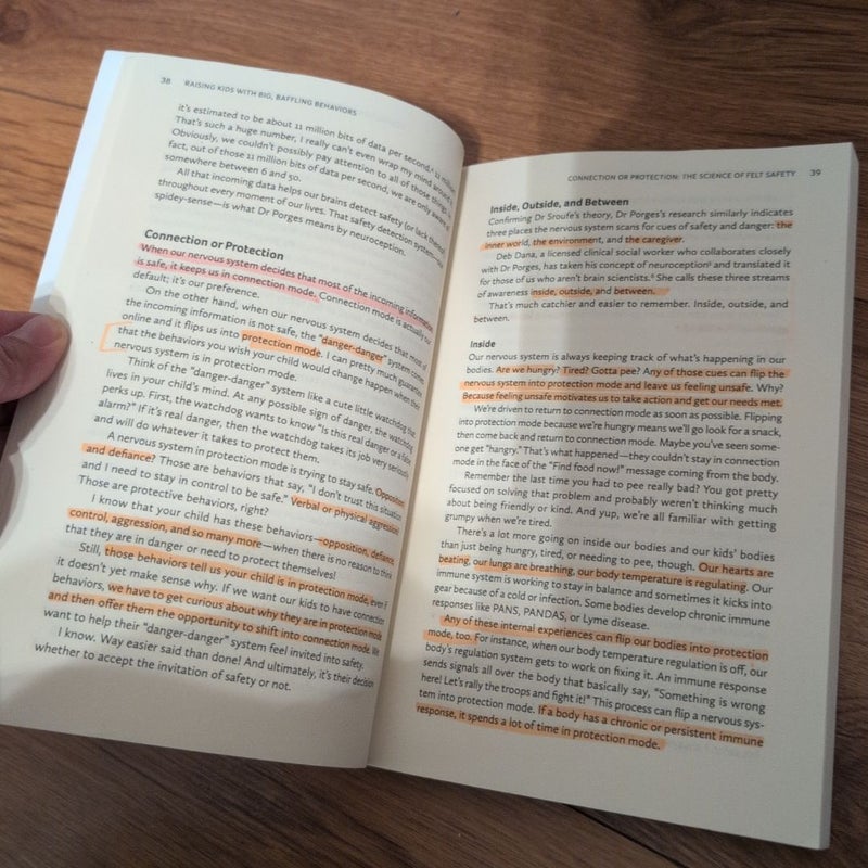 Raising Kids with Big, Baffling Behaviors by Robyn Gobbel