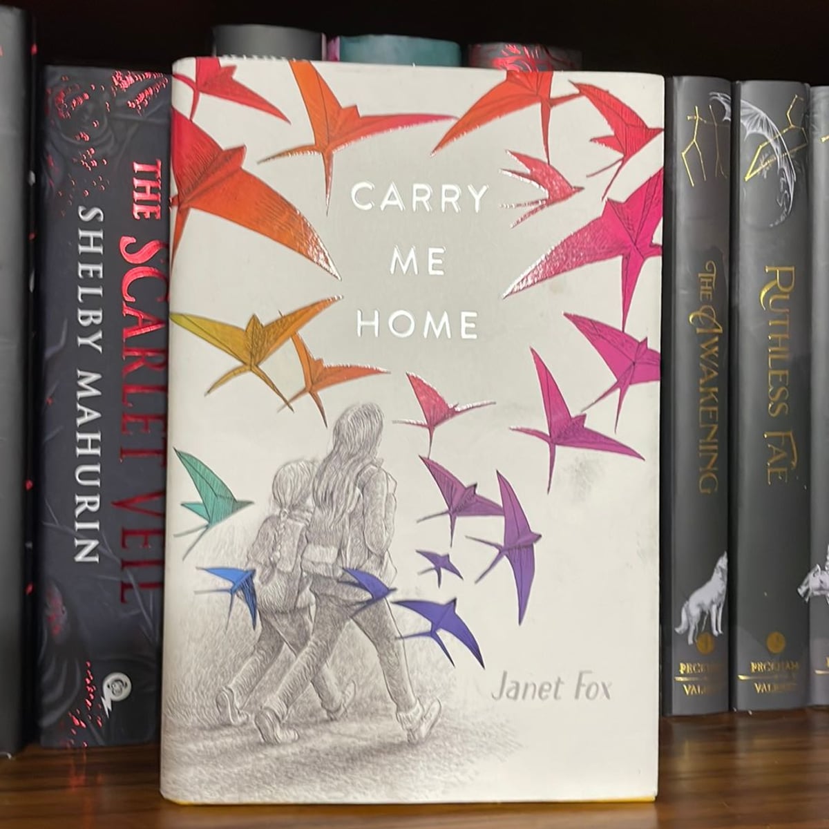Carry Me Home by Janet Fox