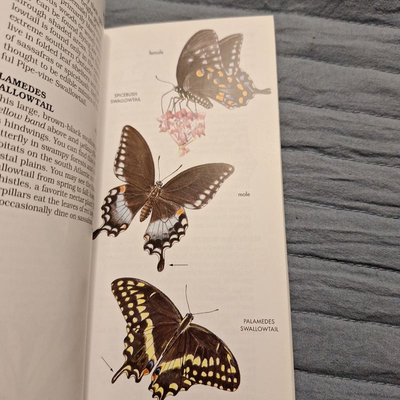 Peterson First Guide to Butterflies and Moths by Paul A. Opler ...