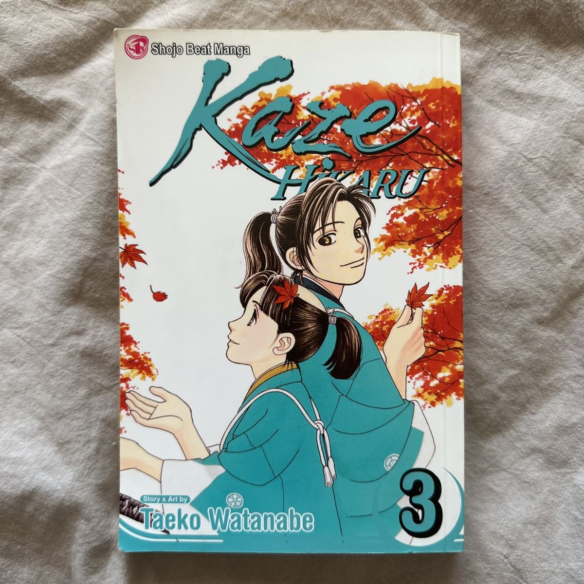 Kaze Hikaru, Vol. 3 by Taeko Watanabe