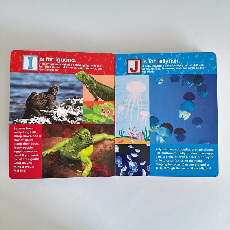 Baby Einstein: Baby Animals by Disney Baby Einstein, Hardcover | Pangobooks