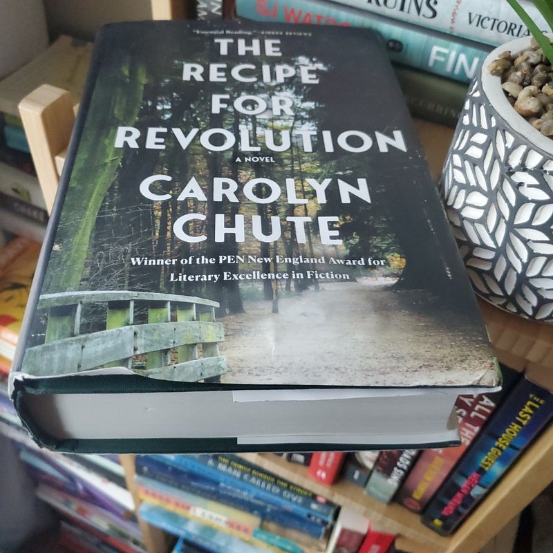 The Recipe for Revolution by Carolyn Chute