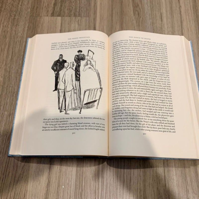 The Magic Mountain by Thomas Mann, Hardcover | Pangobooks