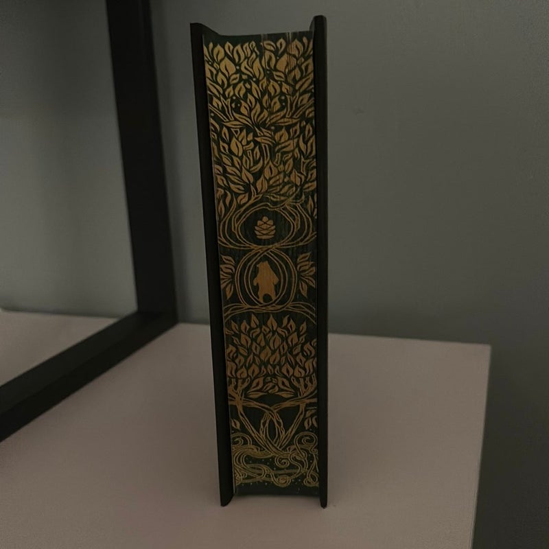 After the Forest Illumicrate Edition by Kell Woods , Hardcover | Pangobooks