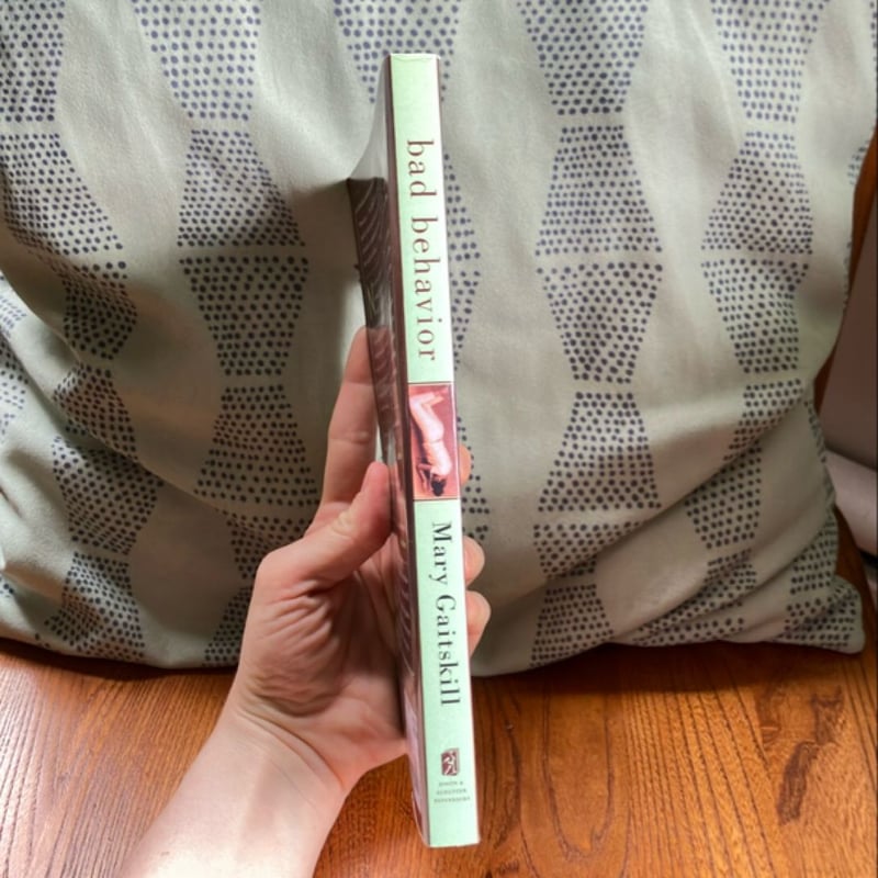 Bad Behavior by Mary Gaitskill