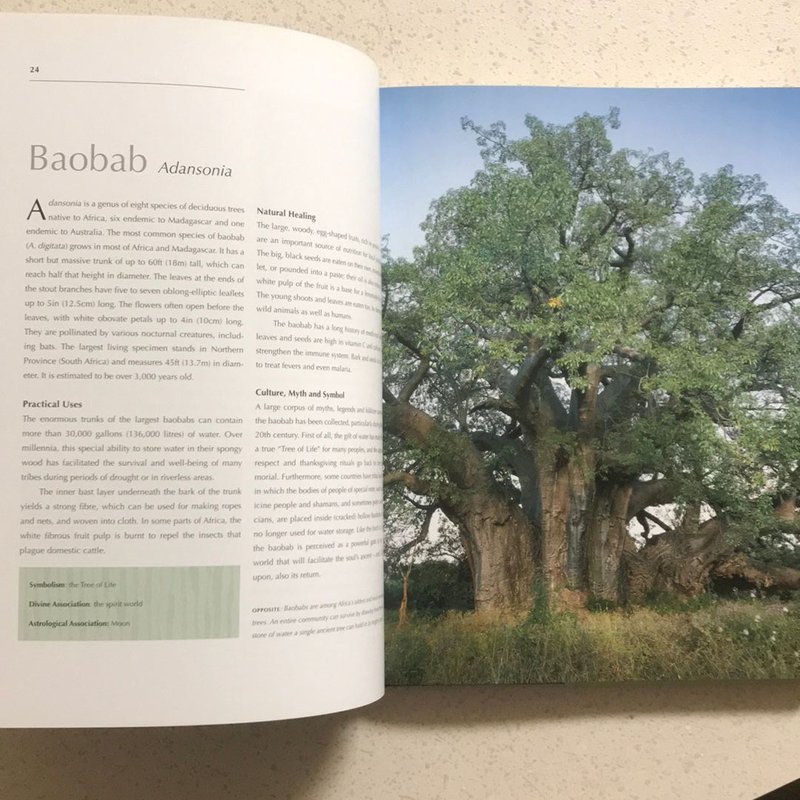 The Meaning of Trees by Fred Hageneder