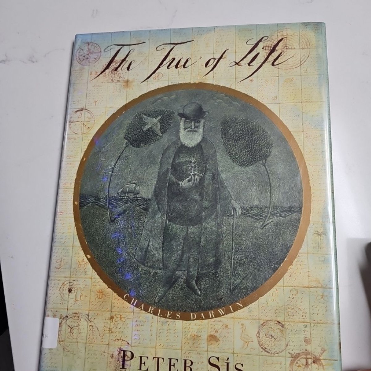 The Tree of Life by Peter Sís