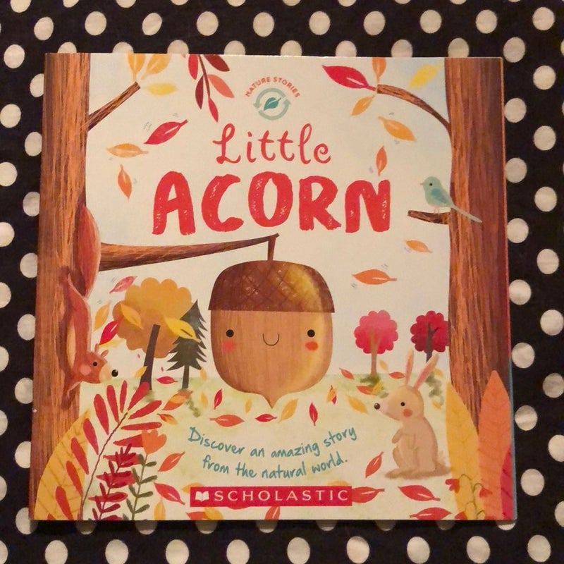 Little Acorn by Scholastic , Paperback | Pangobooks