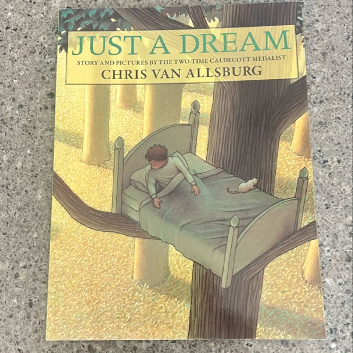 Just a Dream by Chris Van Allsburg