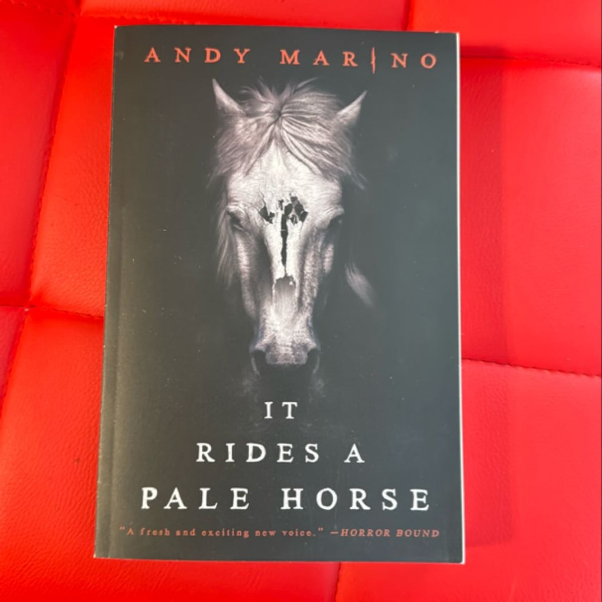 It Rides a Pale Horse by Andy Marino