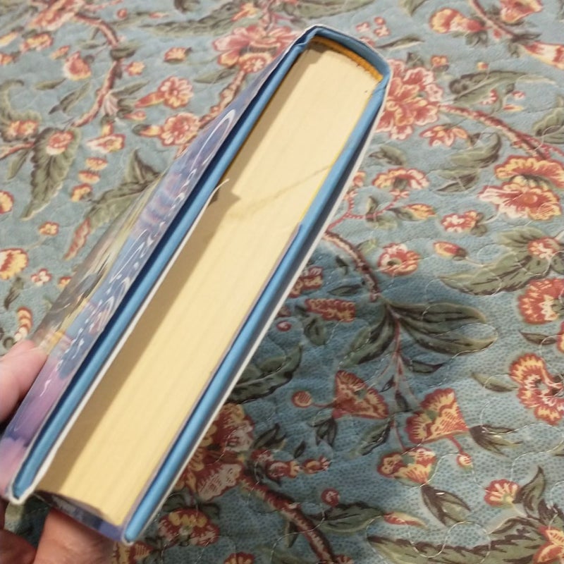 Caterpillar Summer by Gillian McDunn