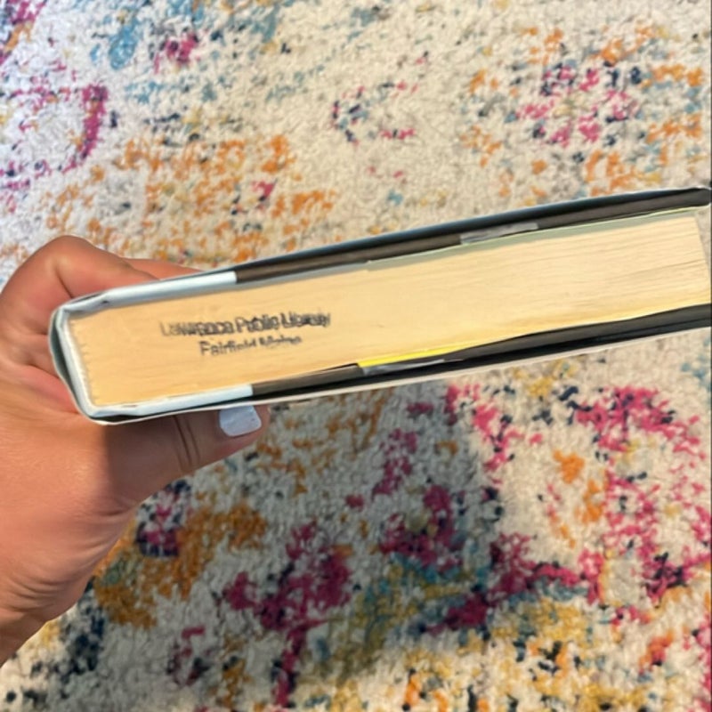 The Girl from Home by Adam Mitzner