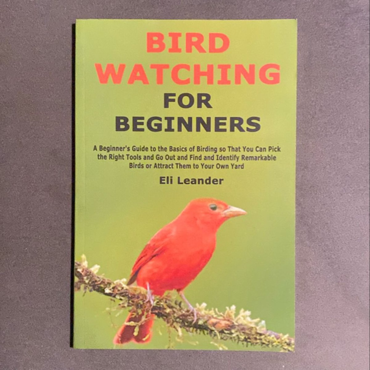 Bird Watching for Beginners by Eli Leander