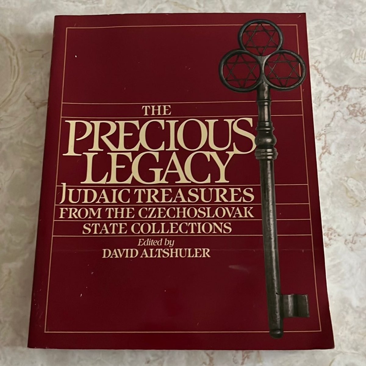 The Precious Legacy by David Altschuler, Paperback | Pangobooks