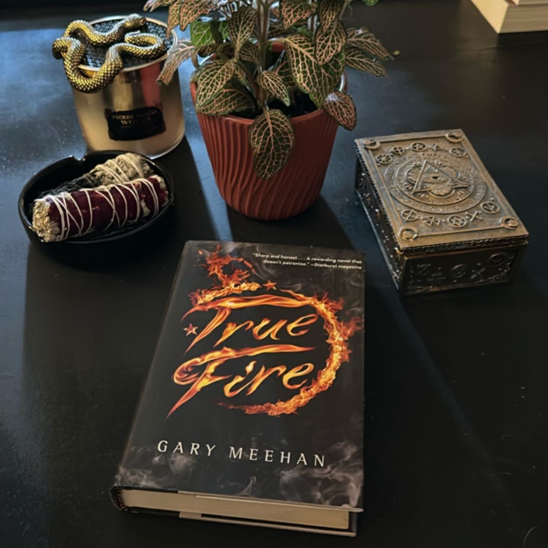 True Fire by Gary Meehan