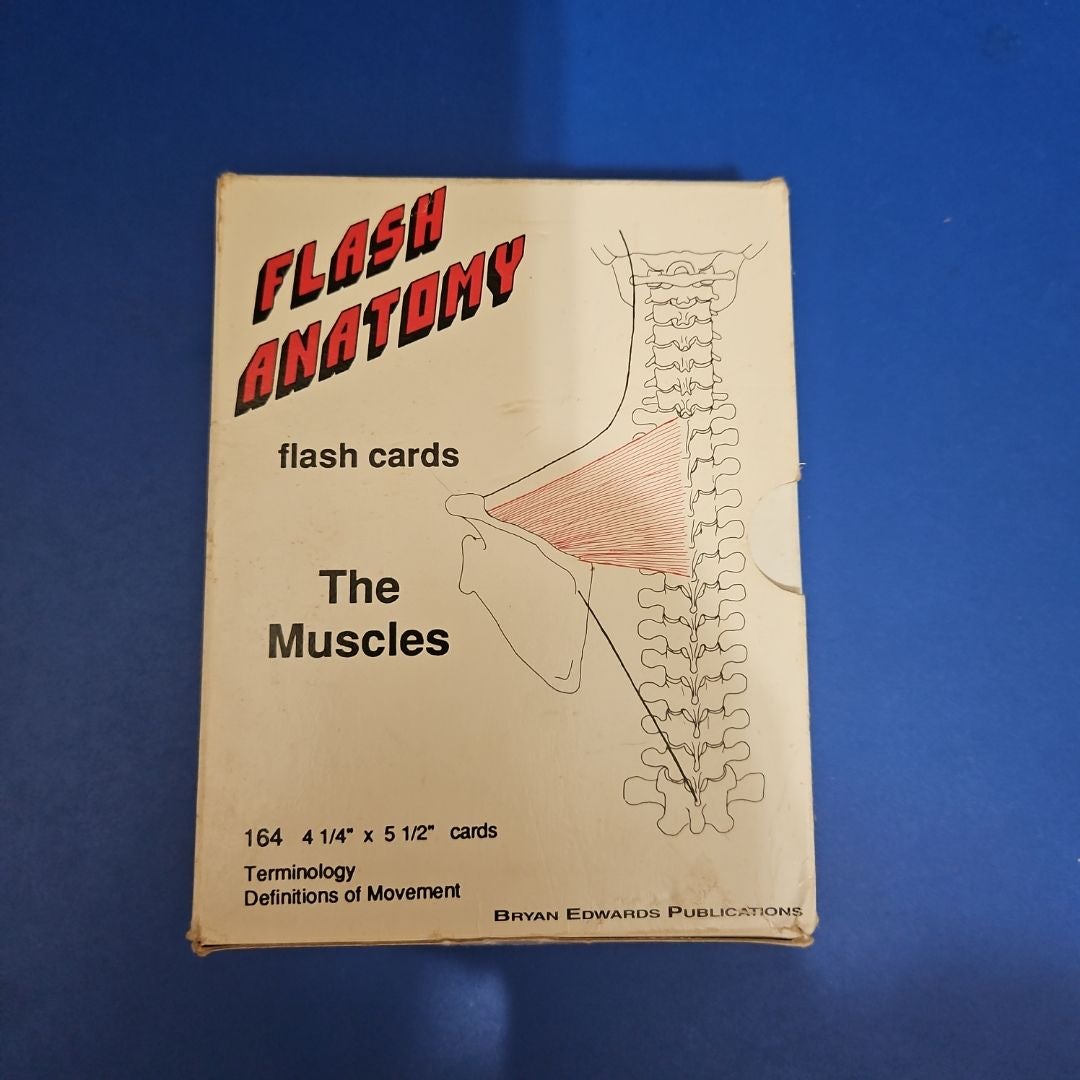 Muscles by Flash Anatomy Staff