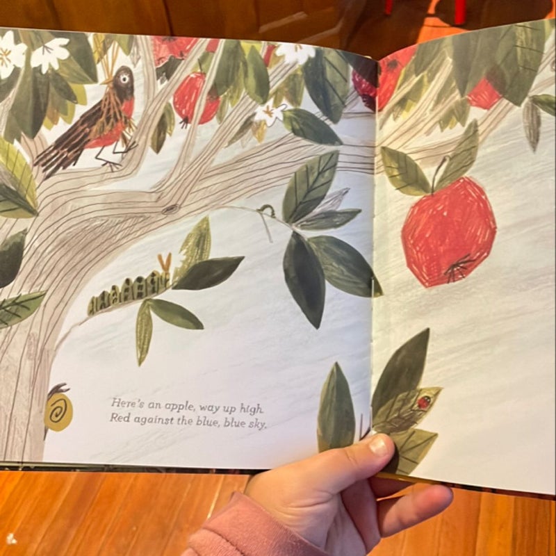 tiny, perfect things by M.H. Clark, Hardcover | Pangobooks