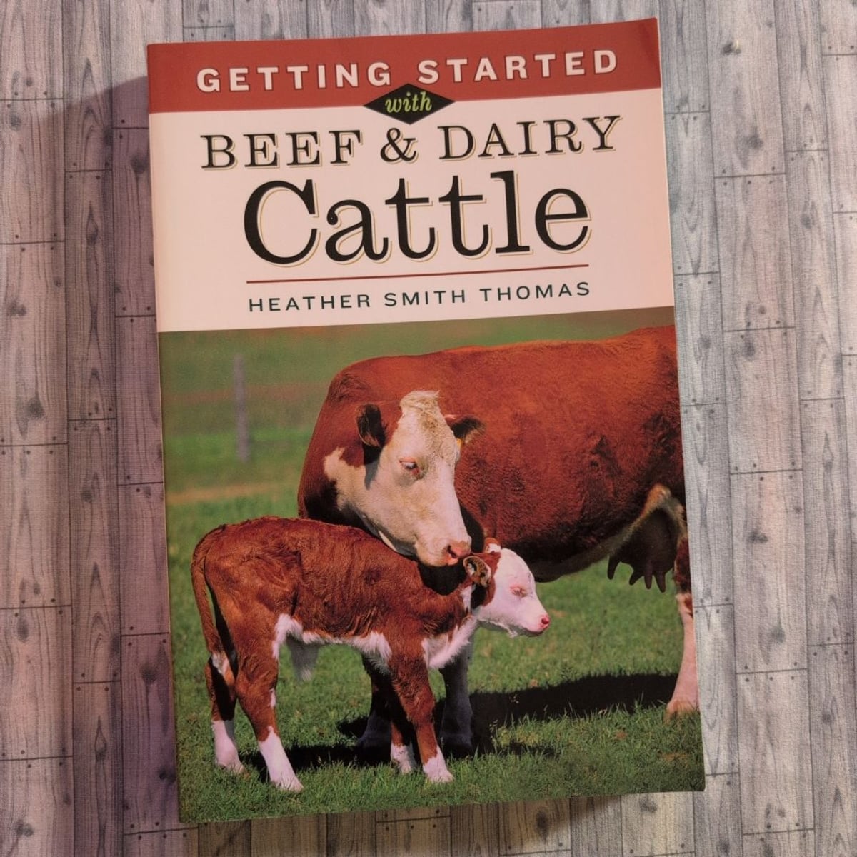 Getting Started with Beef and Dairy Cattle by Heather Smith Thomas