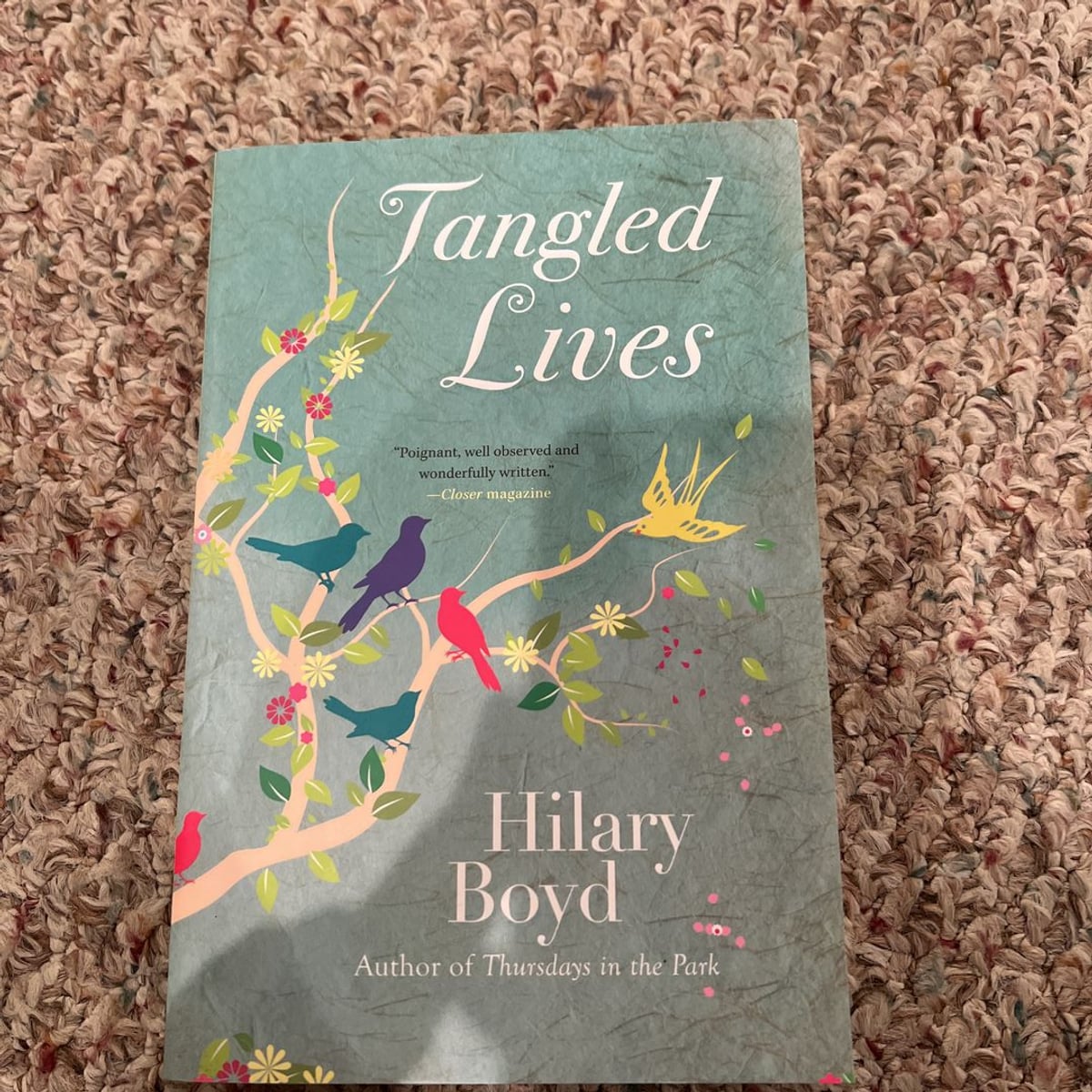 Tangled Lives by Hilary Boyd, Paperback | Pangobooks