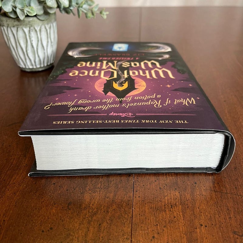 What Once Was Mine by Liz Braswell