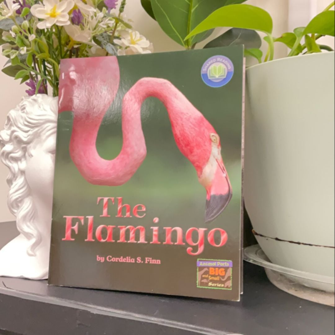 The Flamingo by Cordelia S. Finn; Shared Reading, Paperback | Pangobooks
