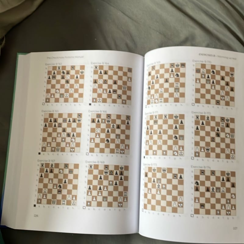 The Checkmate Patterns Manual by Raf Mesotten