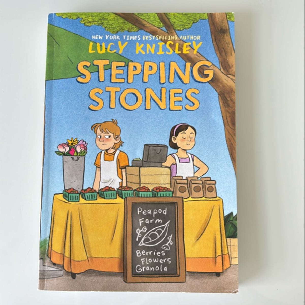 Stepping Stones by Lucy Knisley , Paperback | Pangobooks