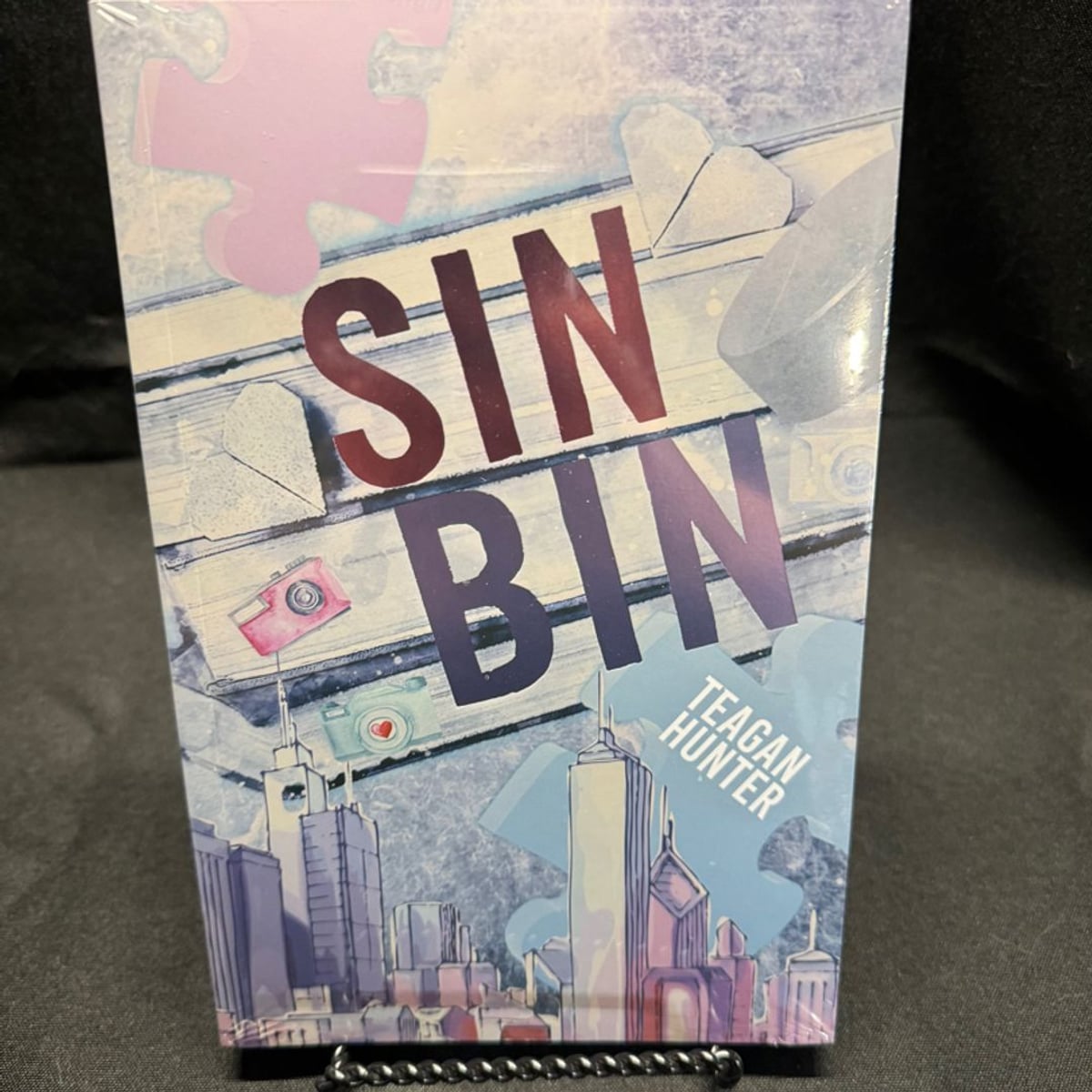 Sin Bin by Teagan Hunter
