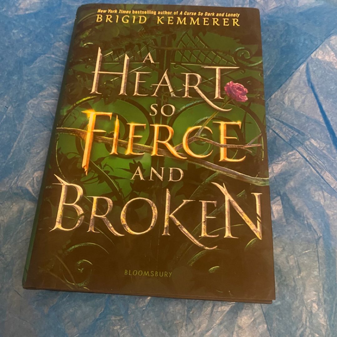 A Heart So Fierce and Broken by Brigid Kemmerer, Hardcover | Pangobooks