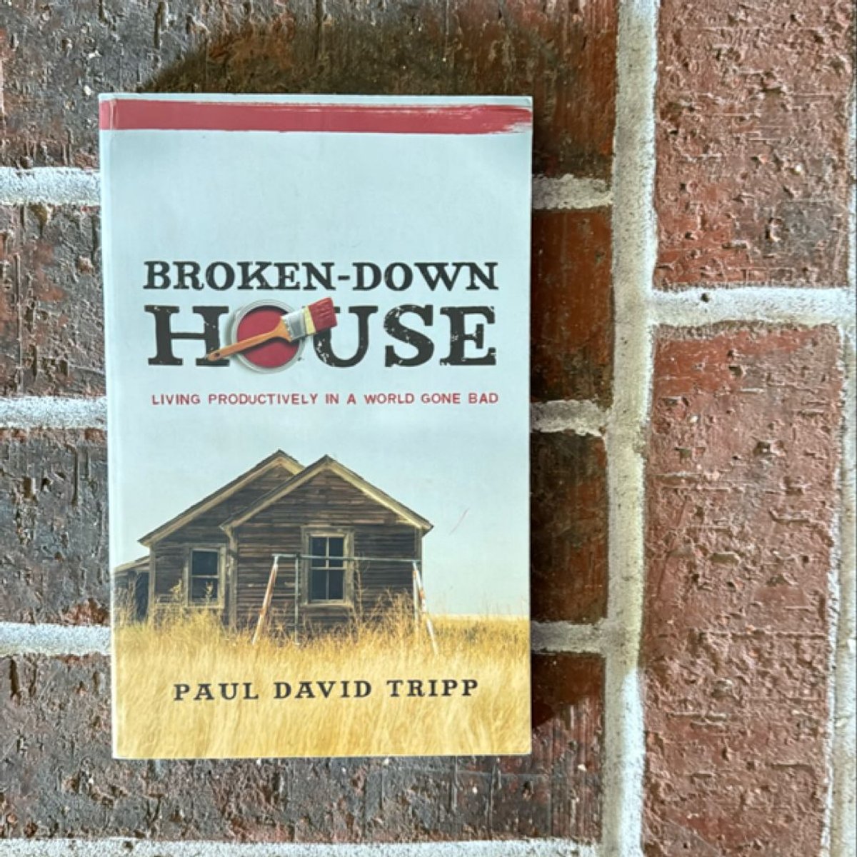 Broken down House by Paul David Tripp