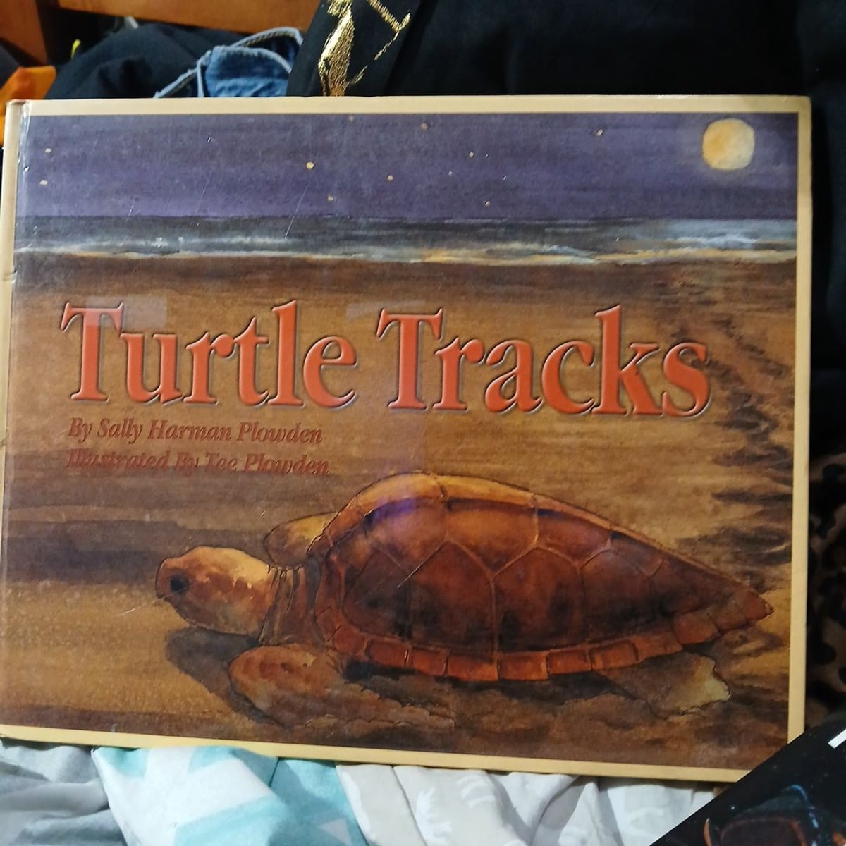 Turtle Tracks by Sally Harman Plowden