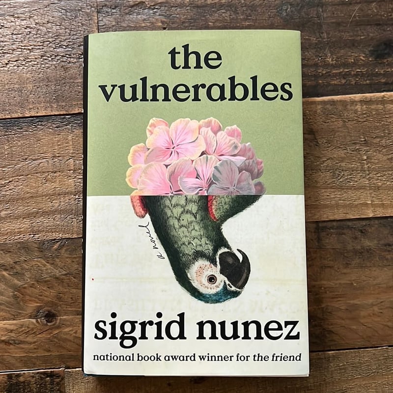 The Vulnerables by Sigrid Nunez, Hardcover | Pangobooks