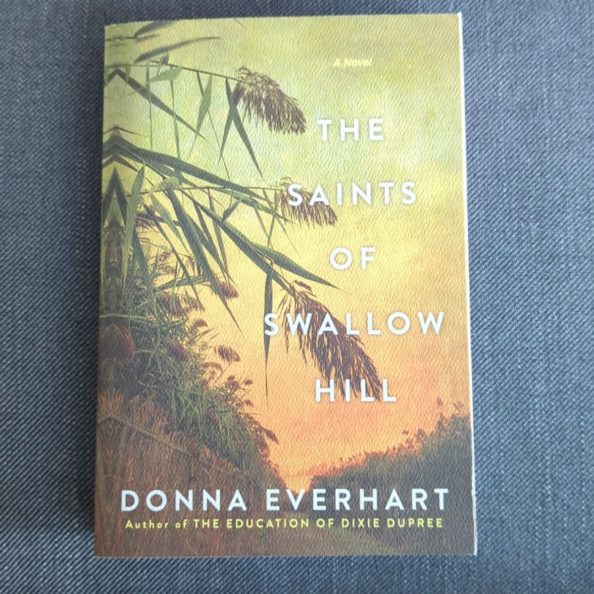The Saints of Swallow Hill by Donna Everhart, Paperback | Pangobooks