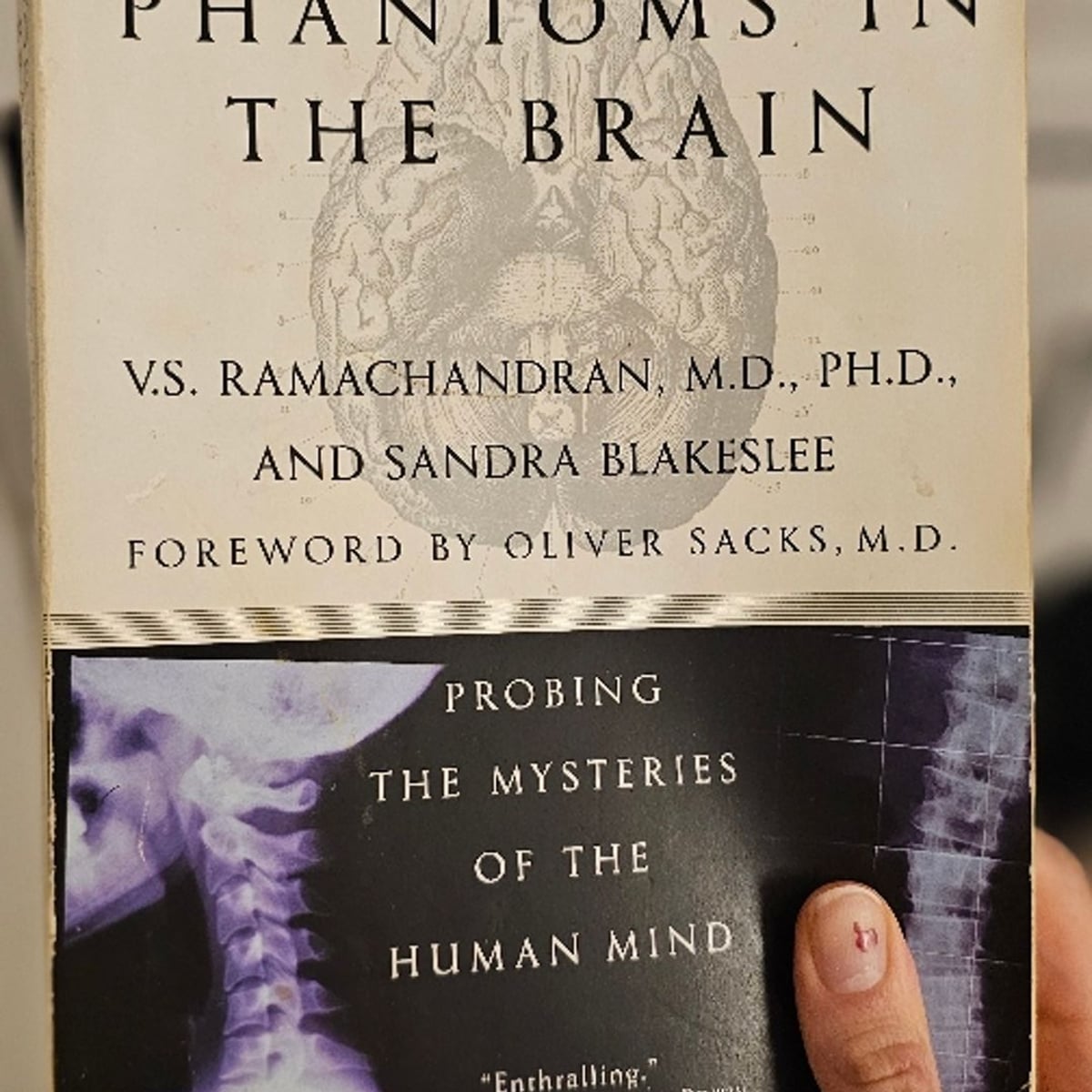 Phantoms in the Brain by V. S. Ramachandran, Paperback | Pangobooks