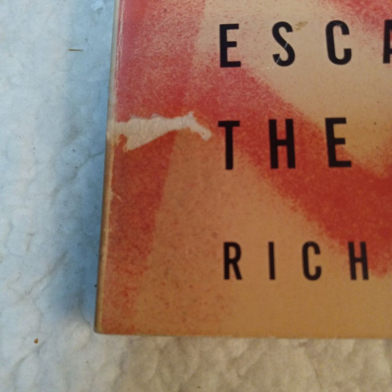 In Hitler's Shadow by Richard J. Evans