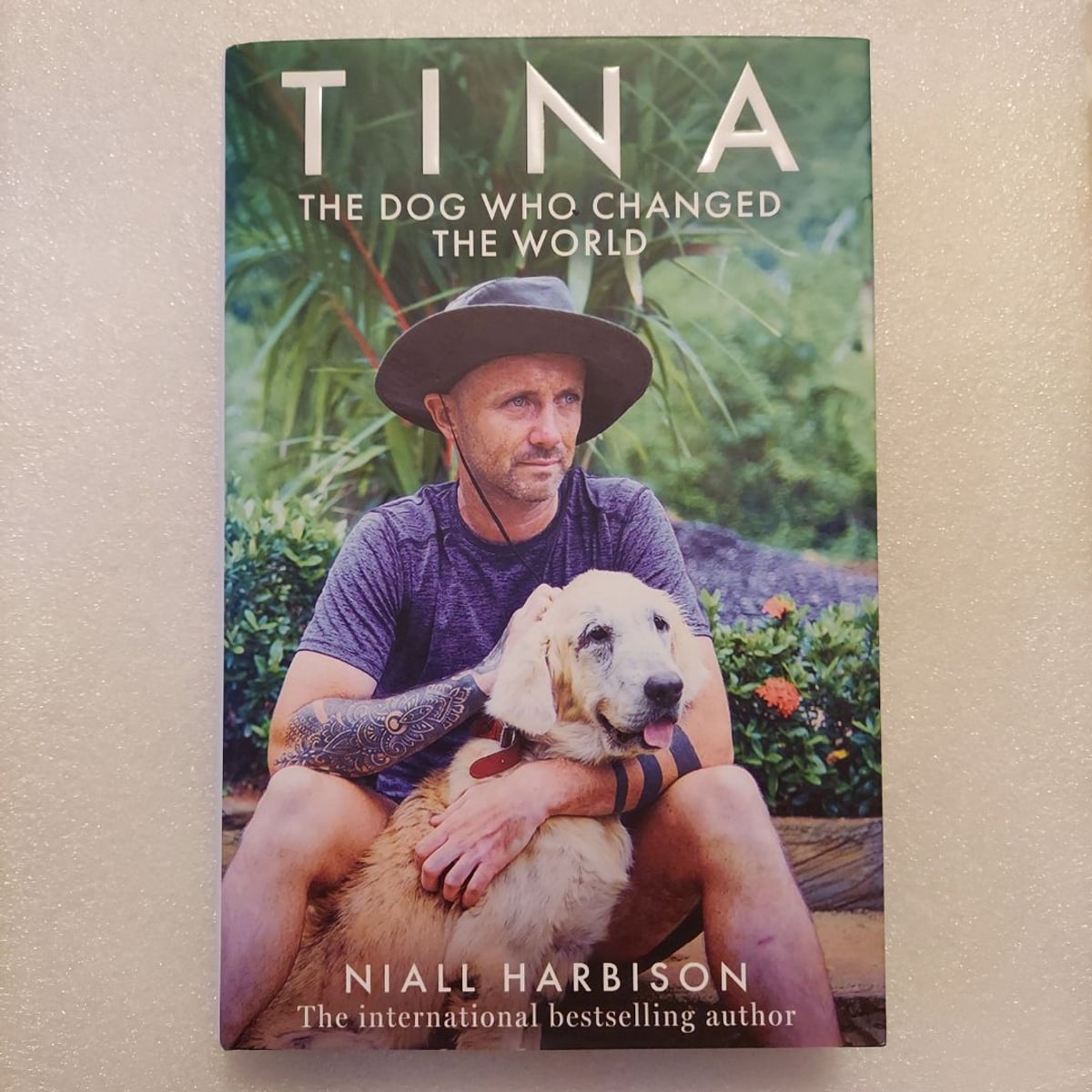 Tina by Niall Harbison